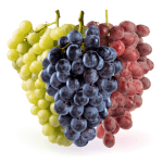 Traditional Grapes - Divine Flavor