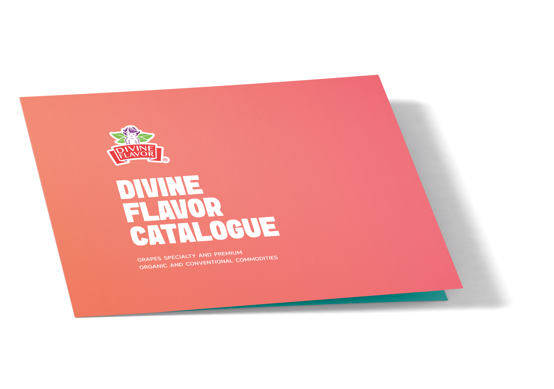 Download Catalogue - Divine Flavor