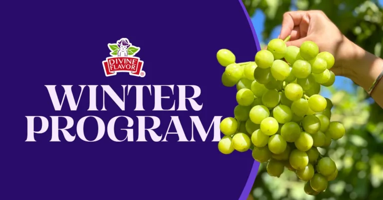 Alán Aguirre Camou of Divine Flavor Discusses Best Practices for ...